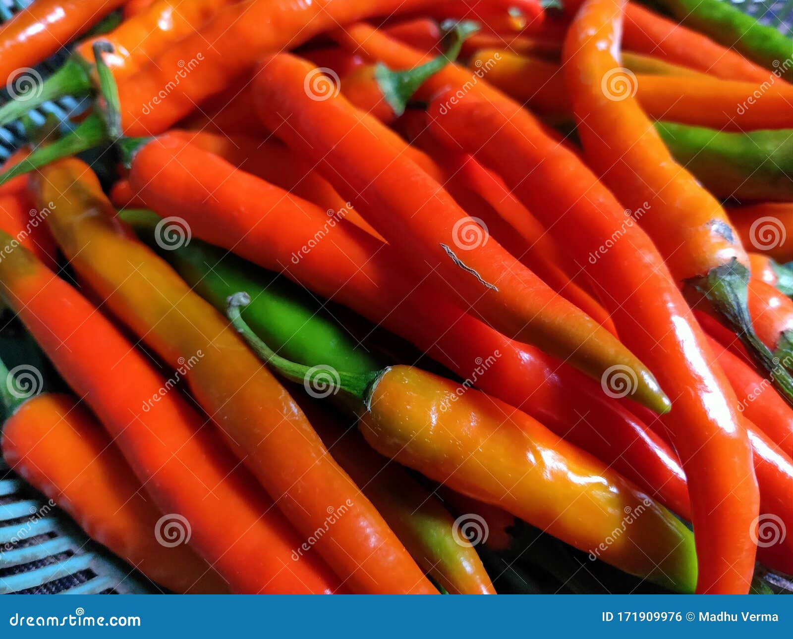 Red Hot Orange Colored Chillies Ready To Be Served Stock Photo - Image ...