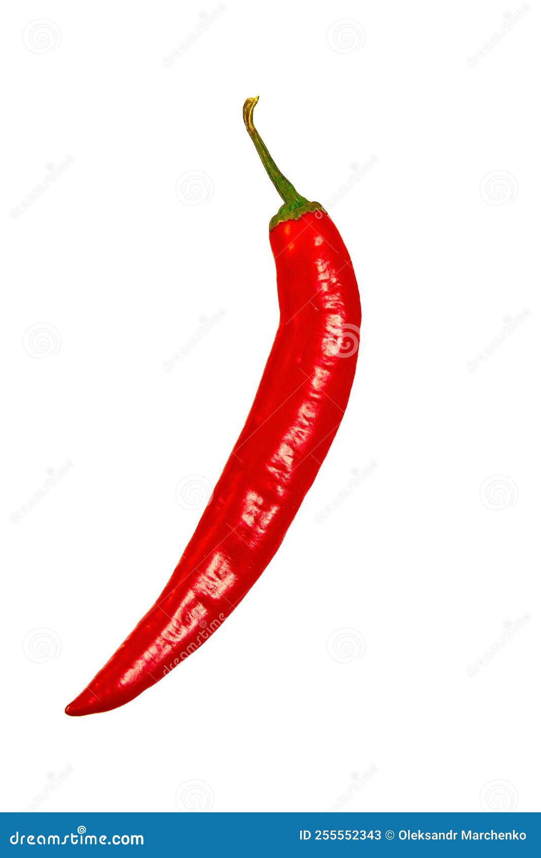 Red Hot Pepper String Isolated on White Background, Clipping Path ...