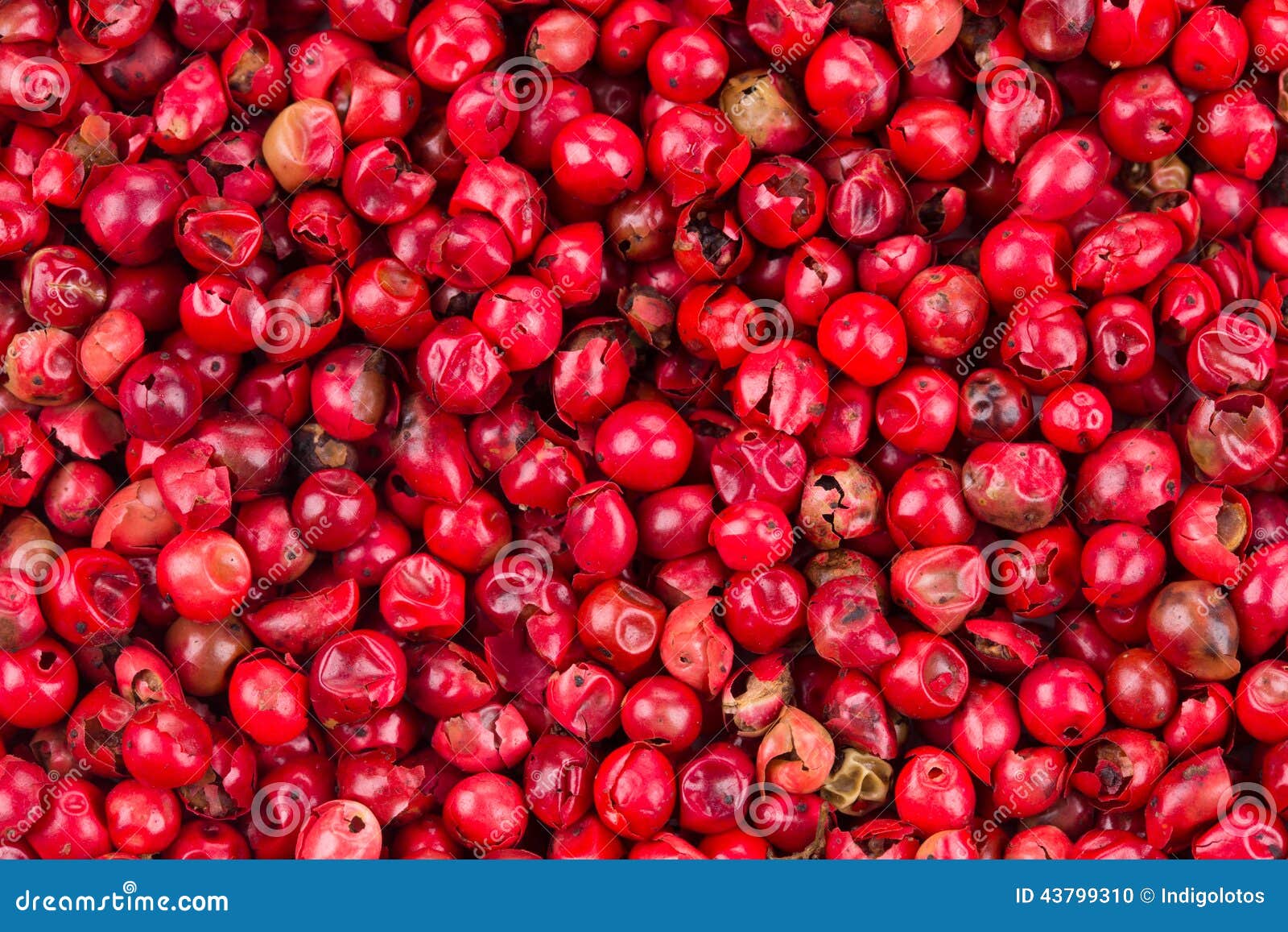 Red hot peppercorn. stock photo. Image of black, ground - 43799310