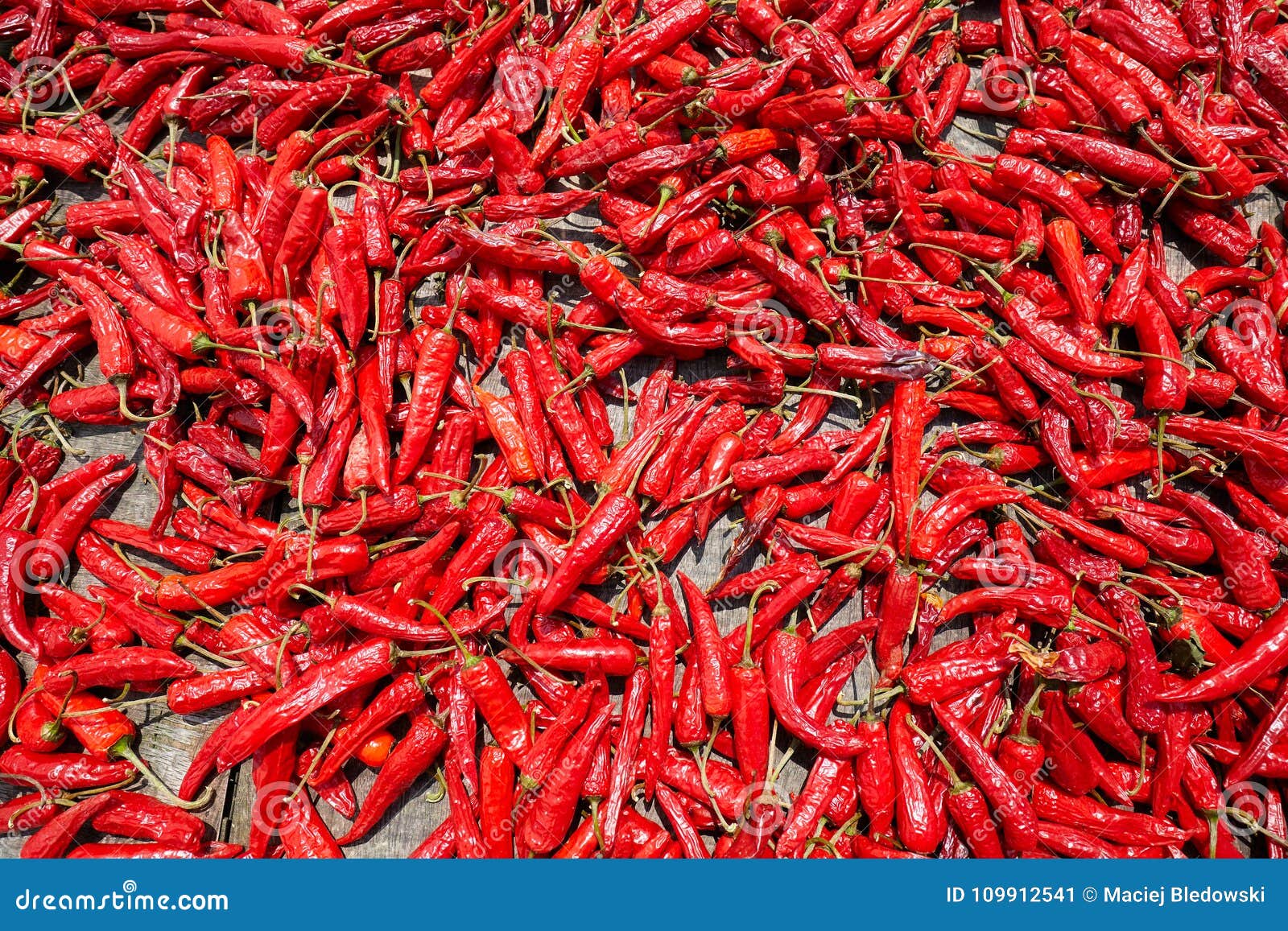 Red Hot Peppers Dry on the Sun. Stock Image - Image of vegetable ...