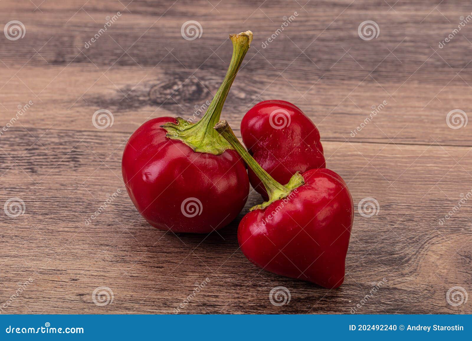 Red Hot Spicy Cherry Pepper Stock Photo - Image of capsicum, nature ...
