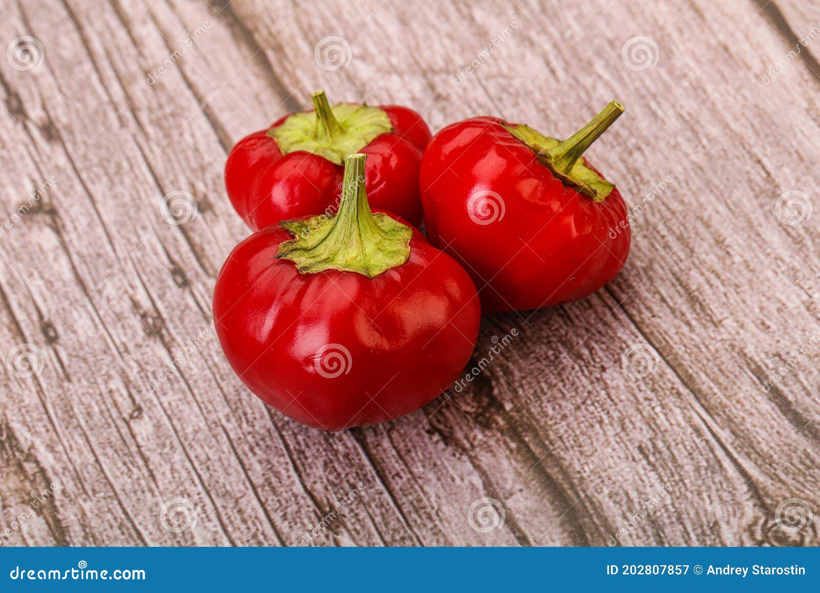 Red Hot Spicy Cherry Pepper Stock Image - Image of harvest, chili ...