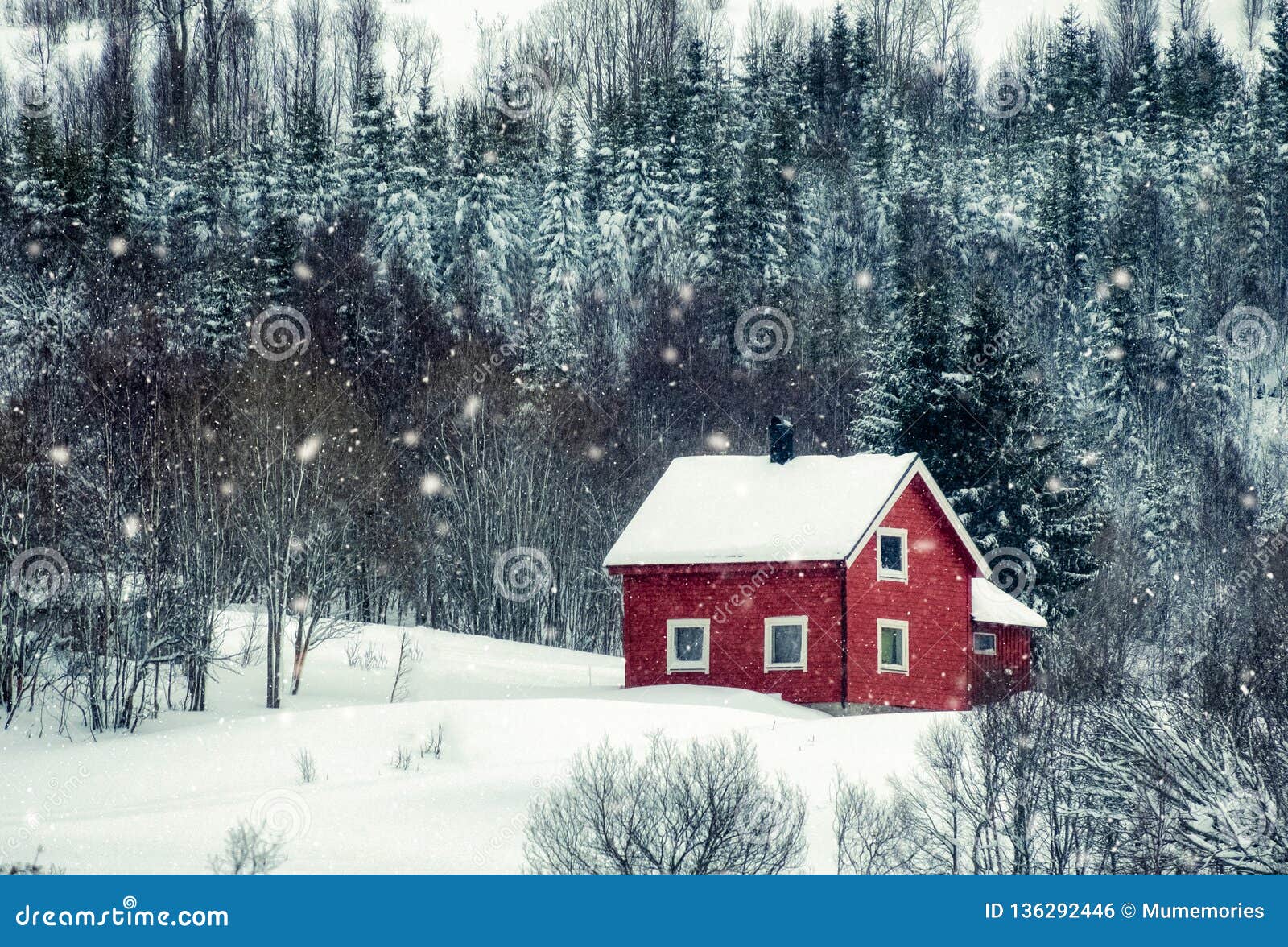 Red House with Snowing in Pine Forest Stock Photo - Image of nordic ...