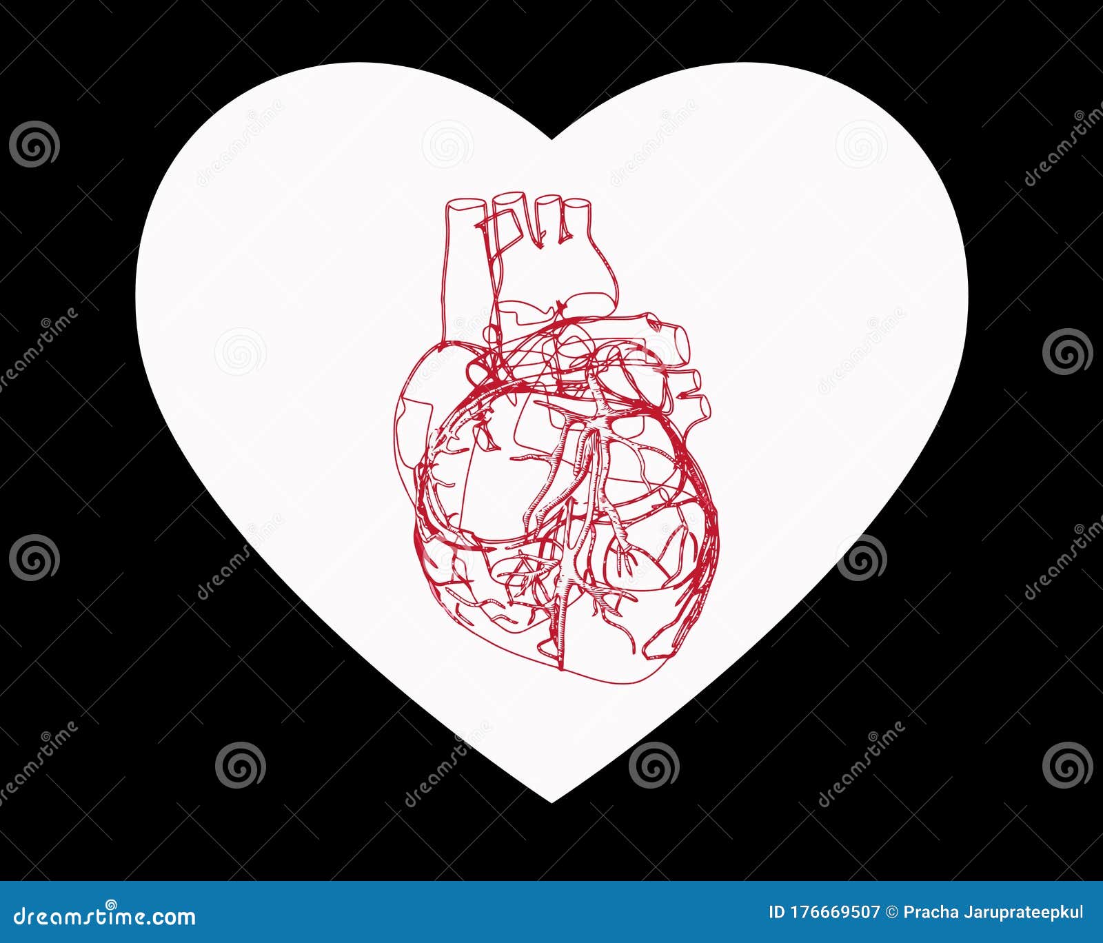 Red Human Heart Drawing in Heart Symbol Stock Vector - Illustration of ...