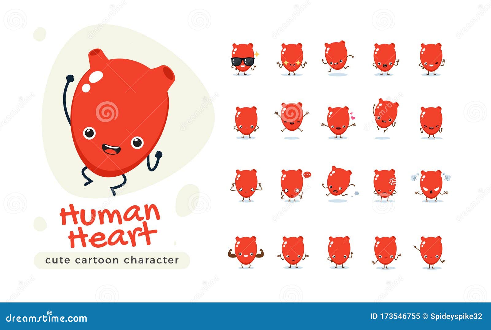 The Red Human Heart. Isolated Vector Illustration Stock Illustration ...