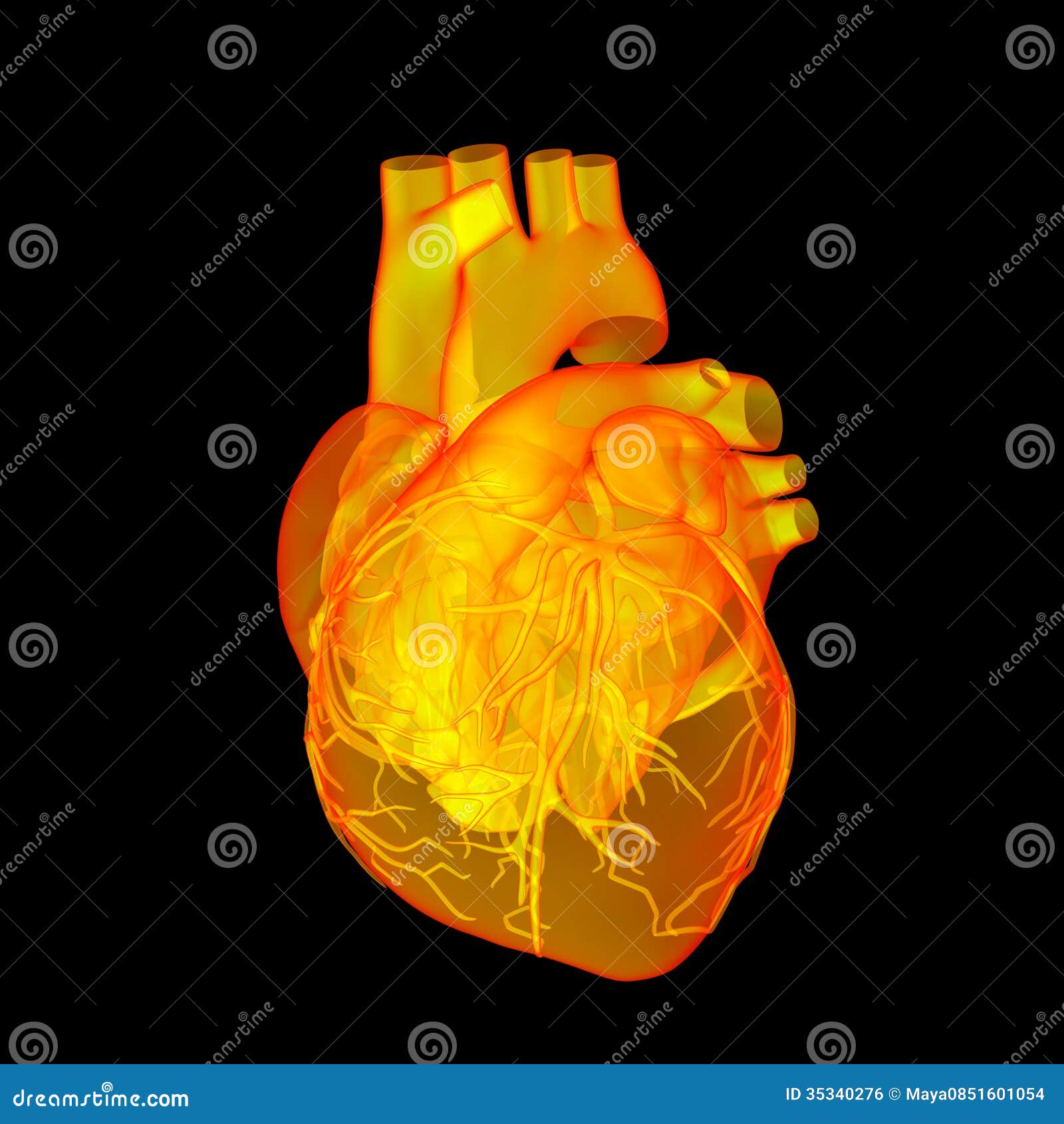 Red human heart stock illustration. Illustration of isolated - 35340276