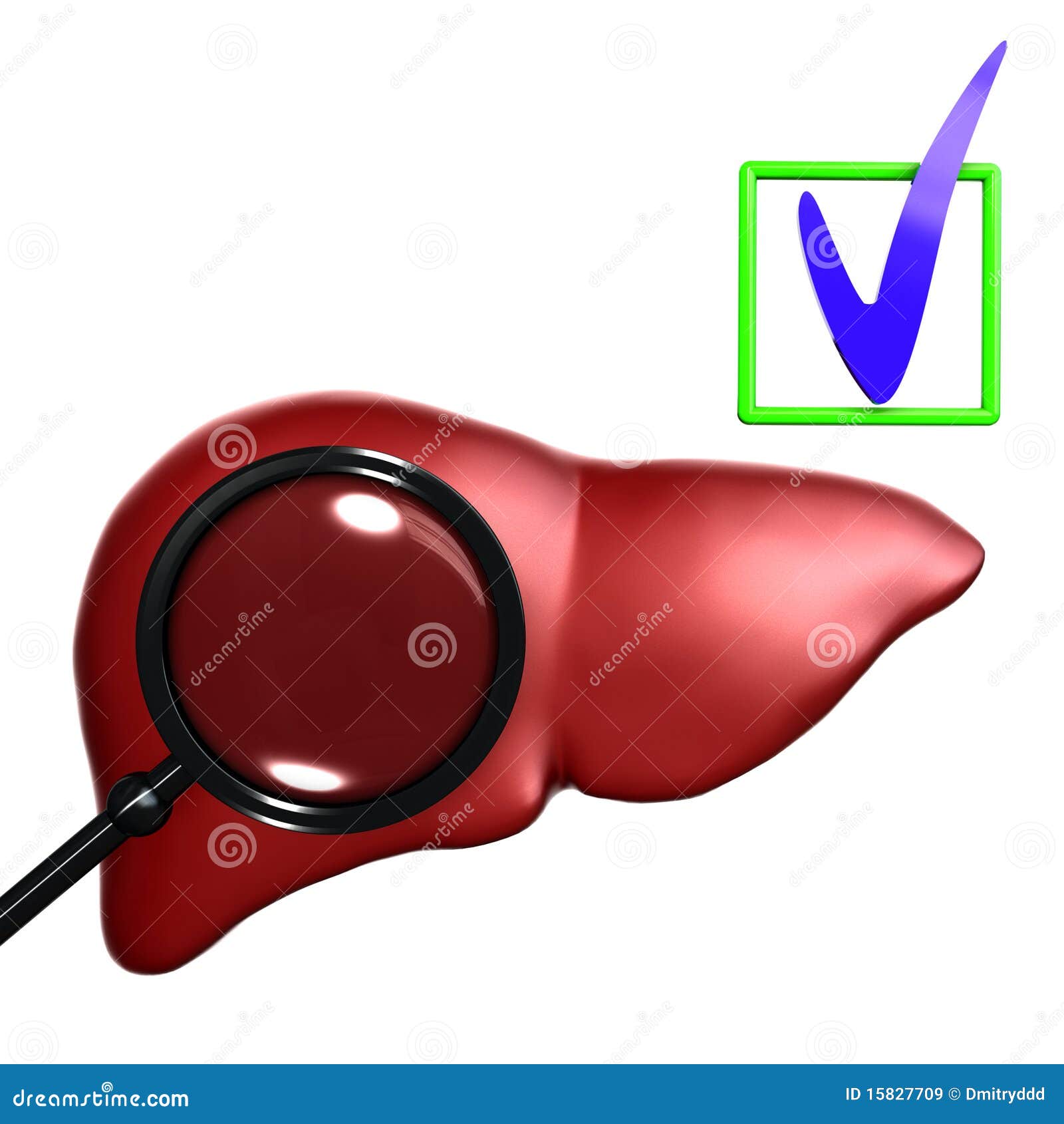 Red Human Liver with Mesoscope Stock Illustration - Illustration of ...