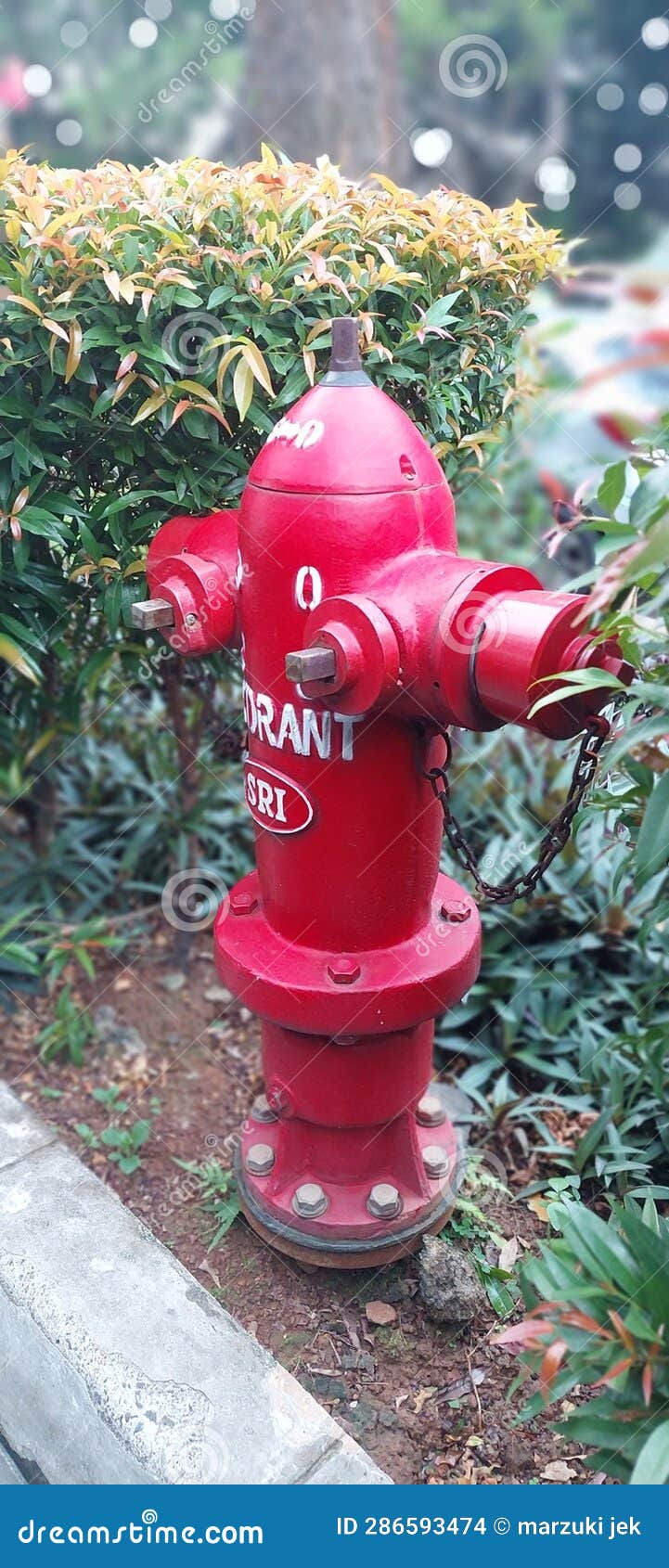 Red Hydrant Installed in the Garden Outside the Office Stock Photo ...