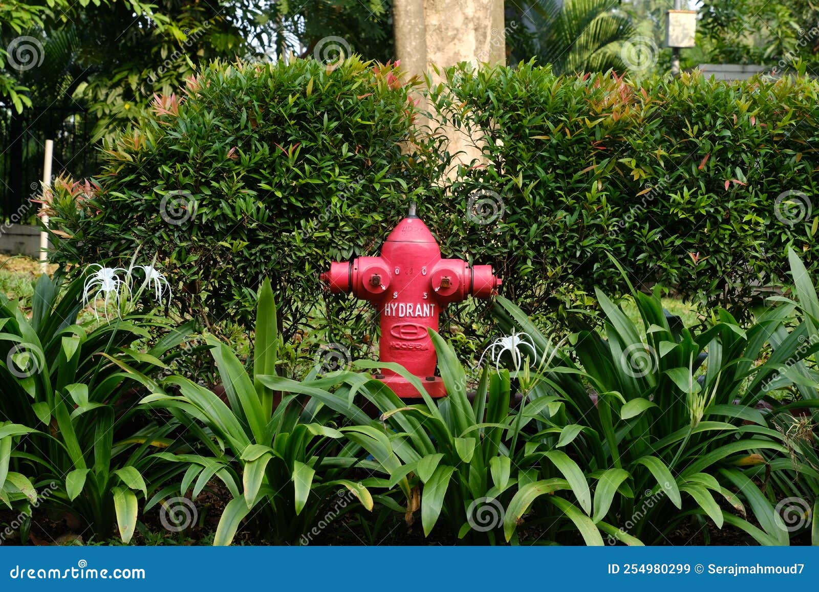 Red hydrant in the park stock image. Image of emergency - 254980299