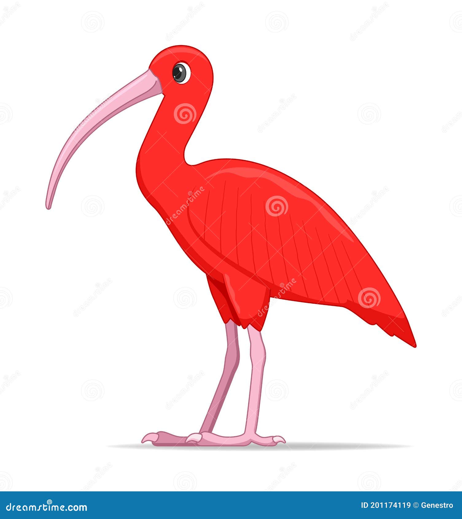 Red Ibis Bird on a White Background Stock Vector - Illustration of ...