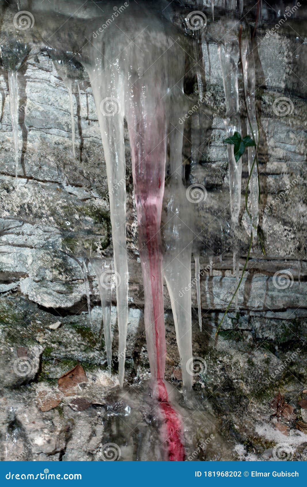 Red icicle on stone wall stock photo. Image of frosty - 181968202