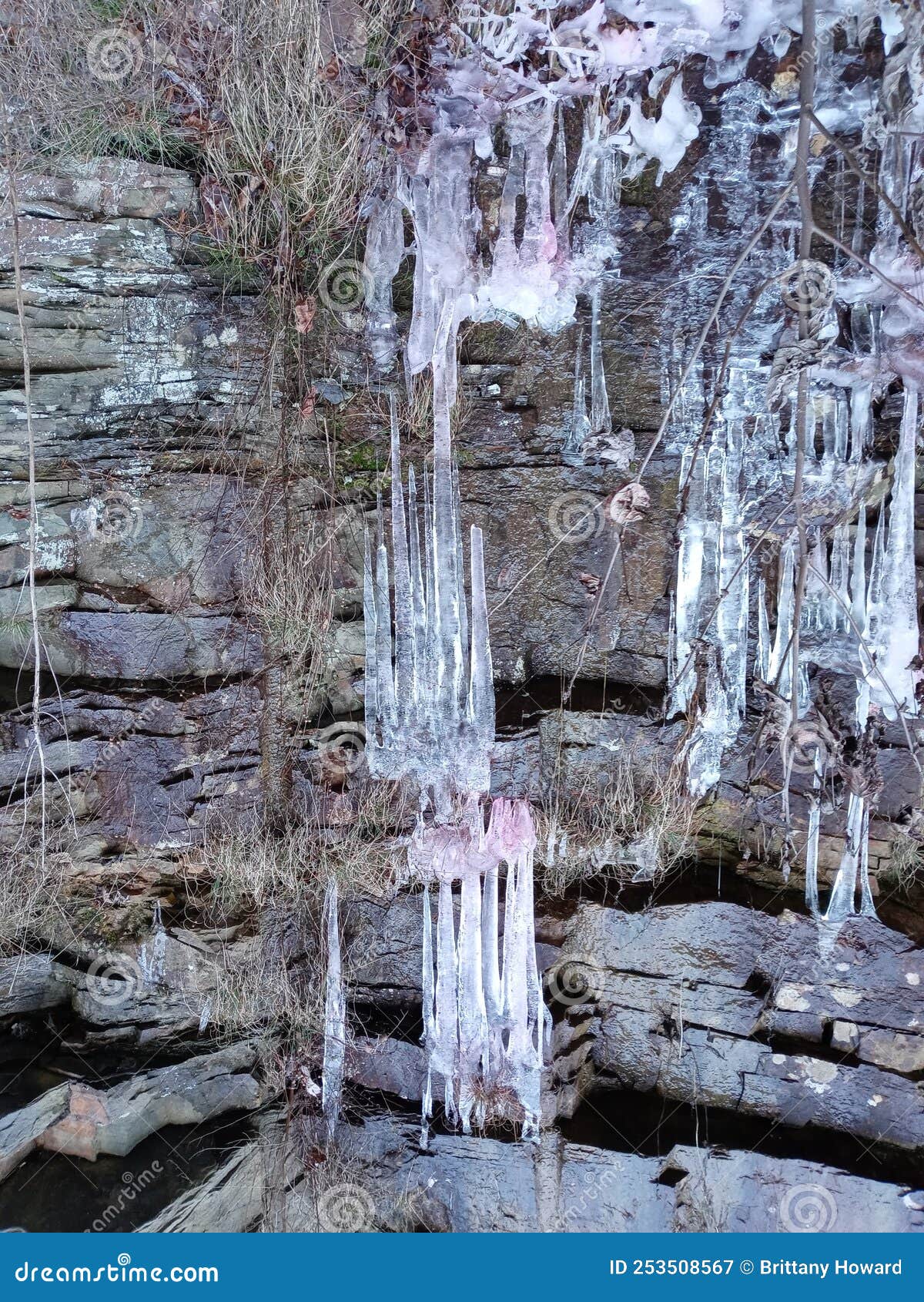 Red icicles on stock image. Image of rock, tree, nature - 253508567