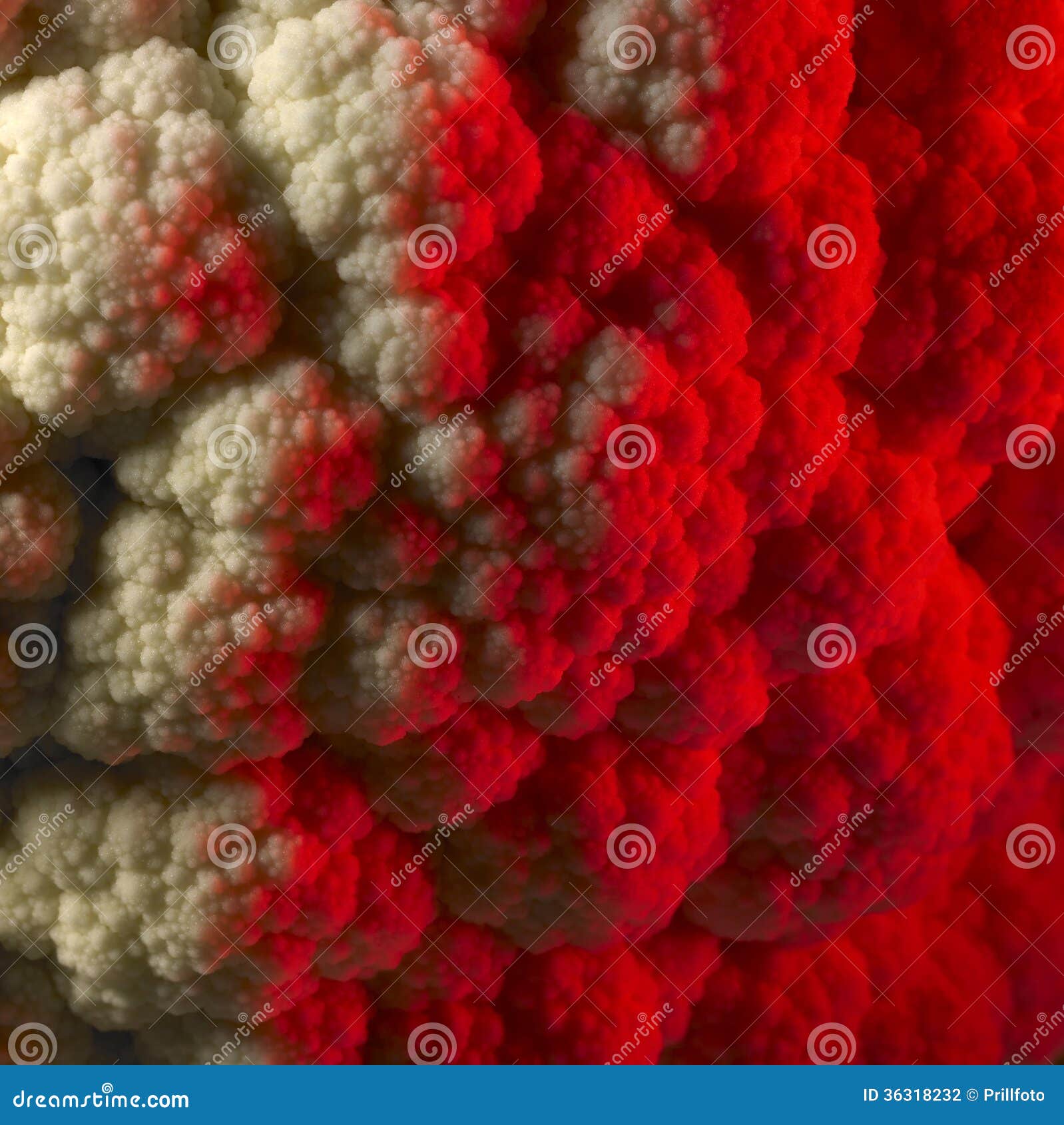 Red Illuminated Cauliflower Stock Photo - Image of freshness, foods ...