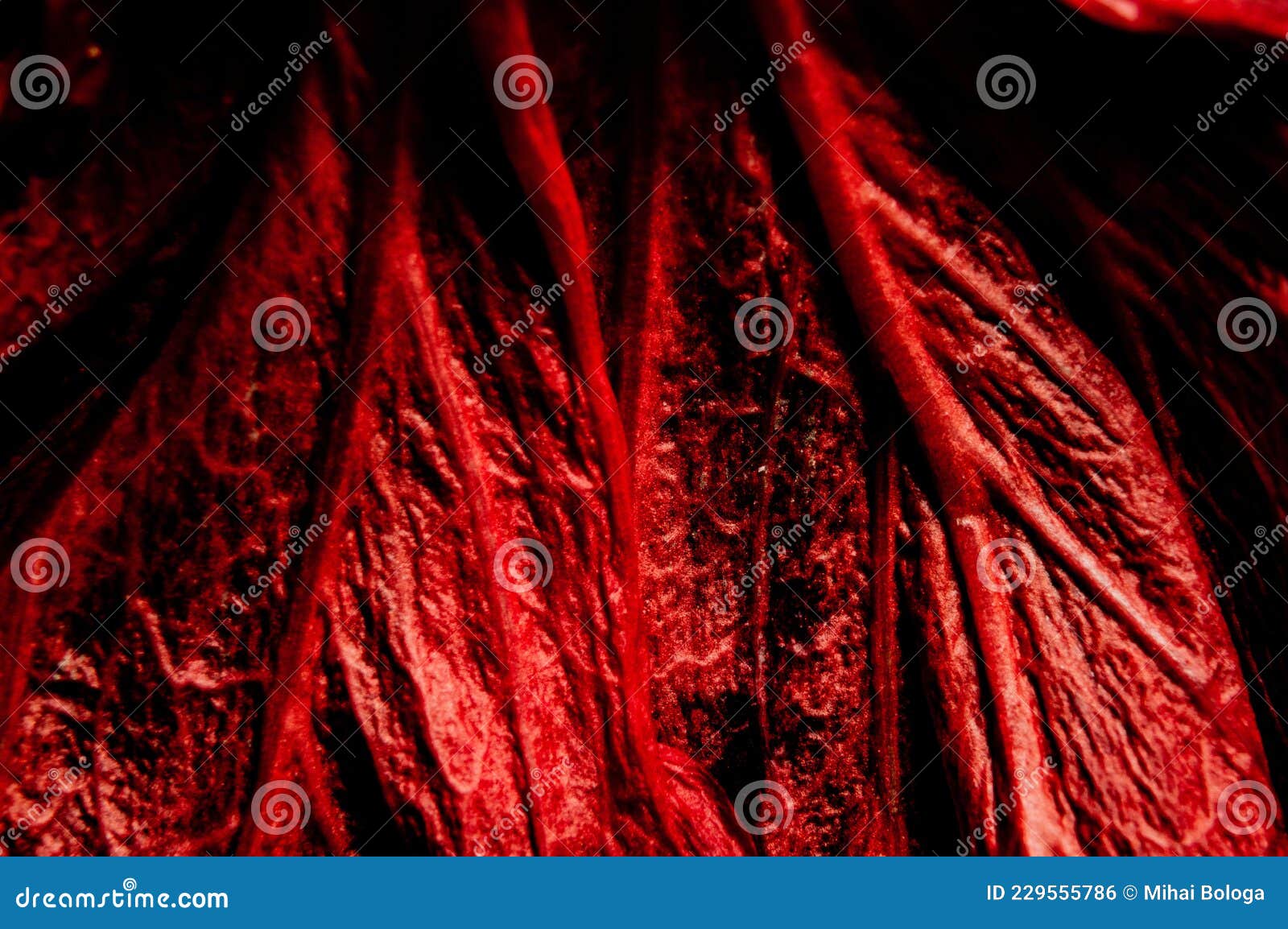 Red intense texture stock photo. Image of paint, pattern - 229555786