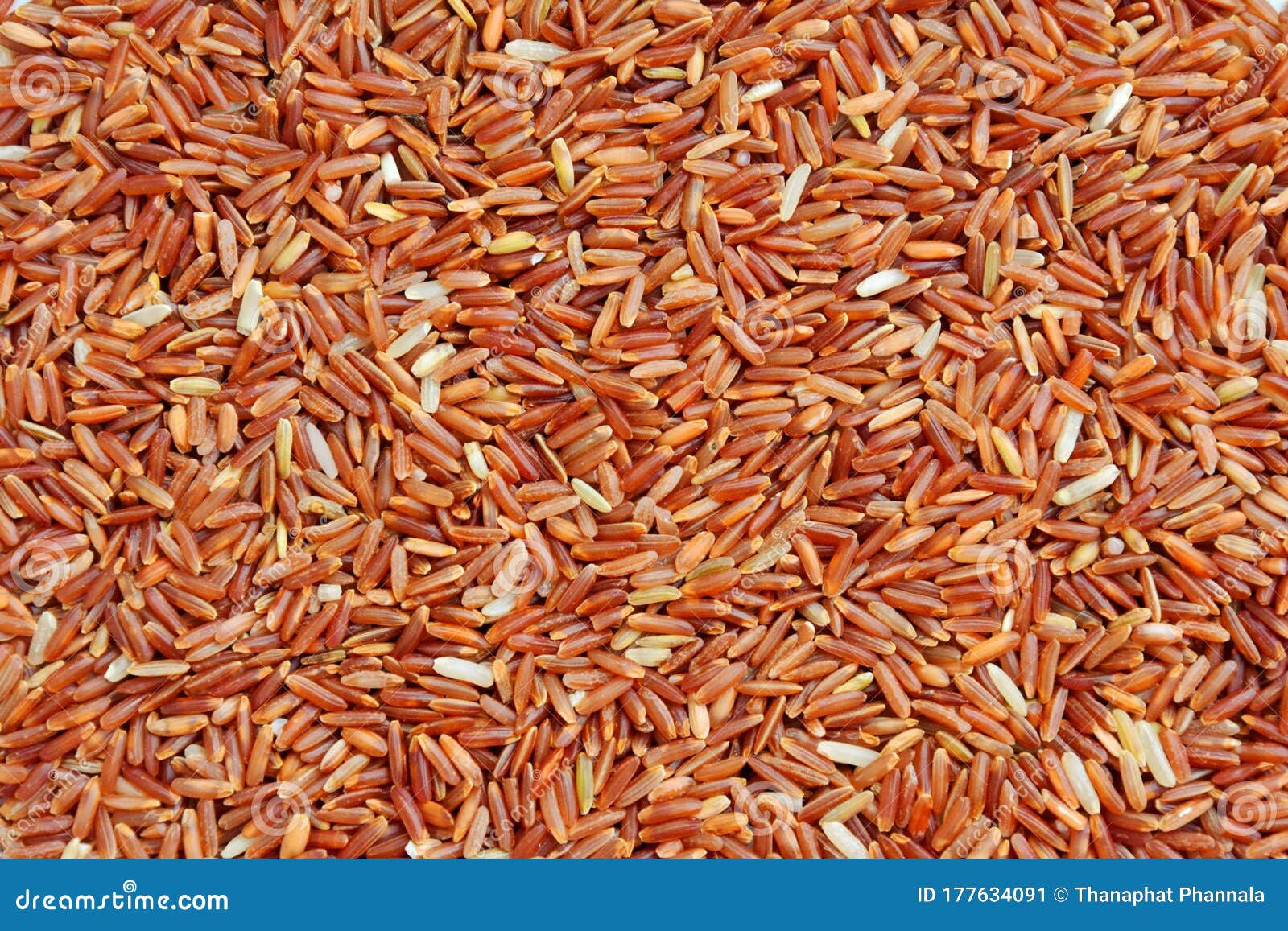 Red Jasmine Rice High Quality Organic Rice Stock Image - Image of high ...
