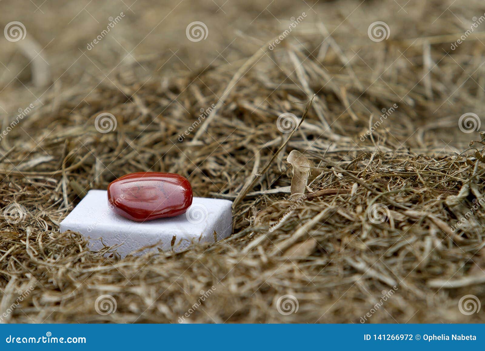 Red Jasper Crystal Sitting in Some Hay Stock Photo - Image of pretty ...