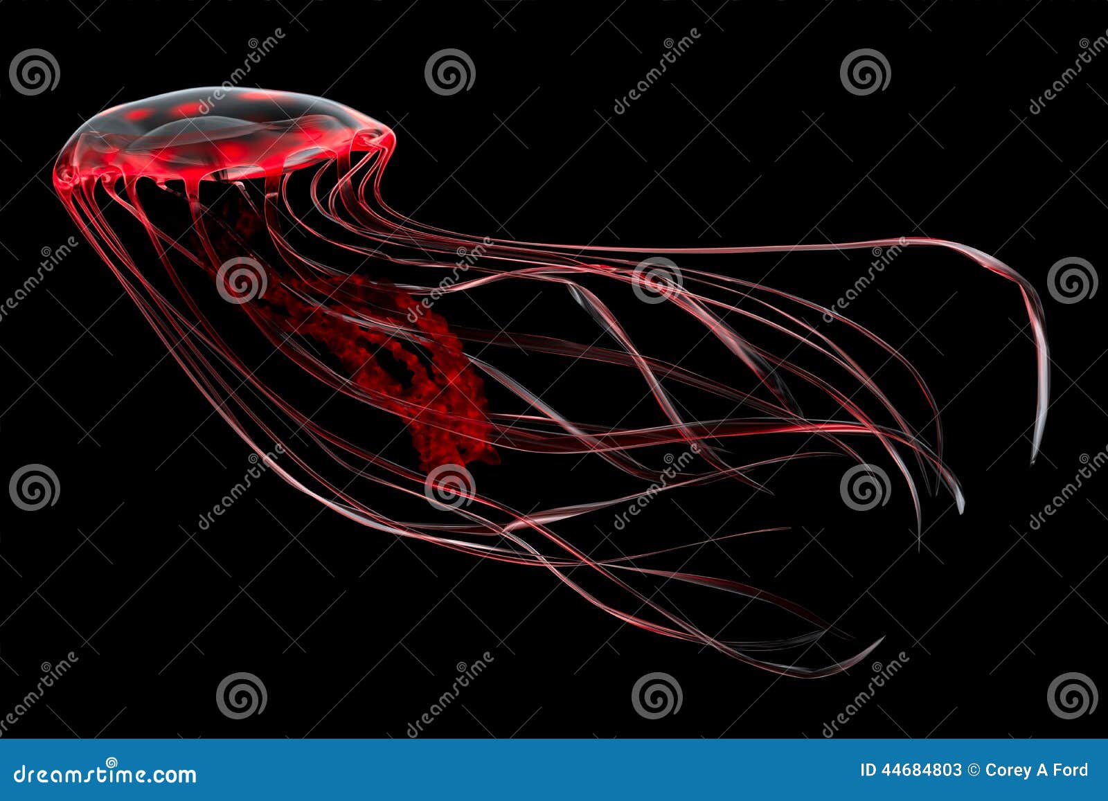 Red Jellyfish stock illustration. Illustration of jellyfish - 44684803