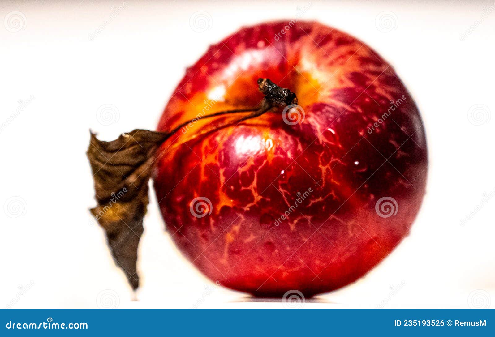 Red Jonathan Apple with Dry Leaves. Stock Photo - Image of diet, green ...