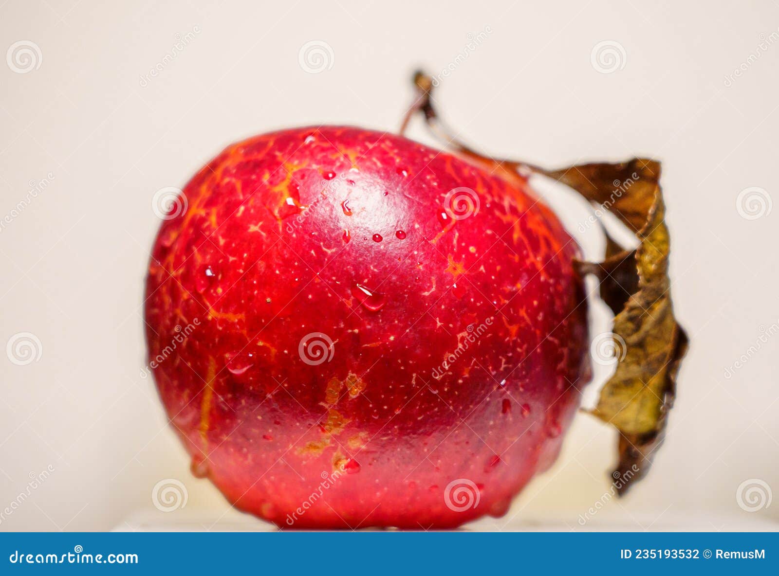 Red Jonathan Apple with Dry Leaves. Stock Photo - Image of clarity ...