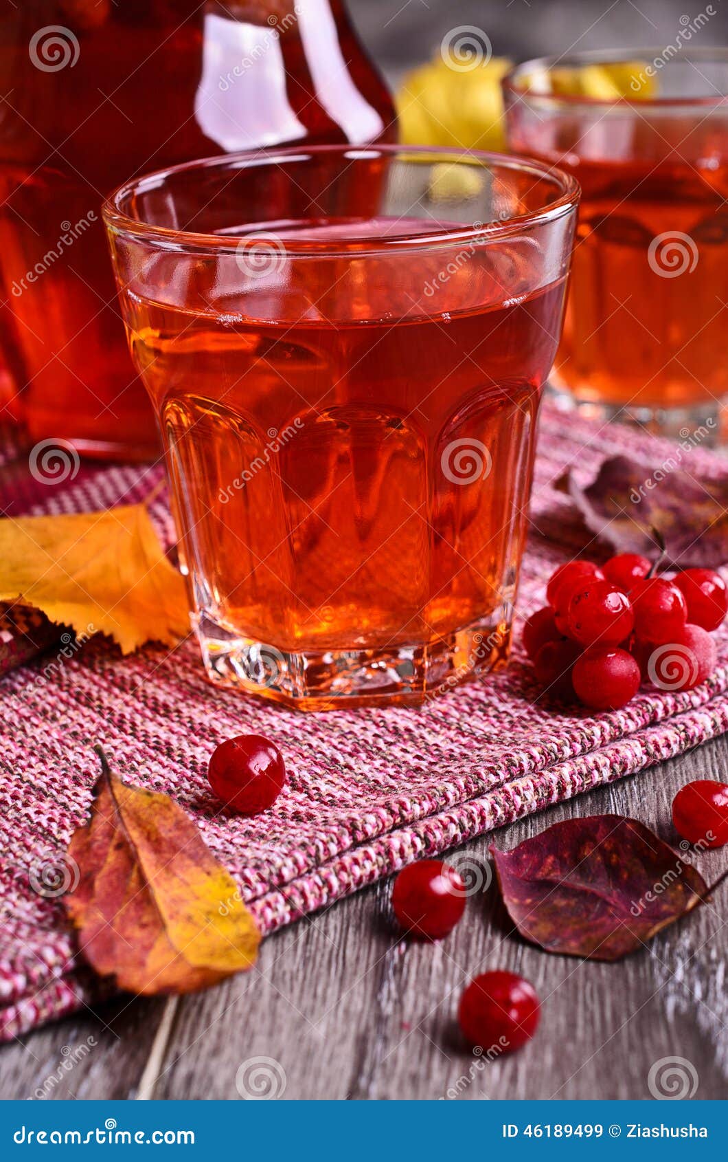 Red juice stock image. Image of juice, nature, beverage - 46189499