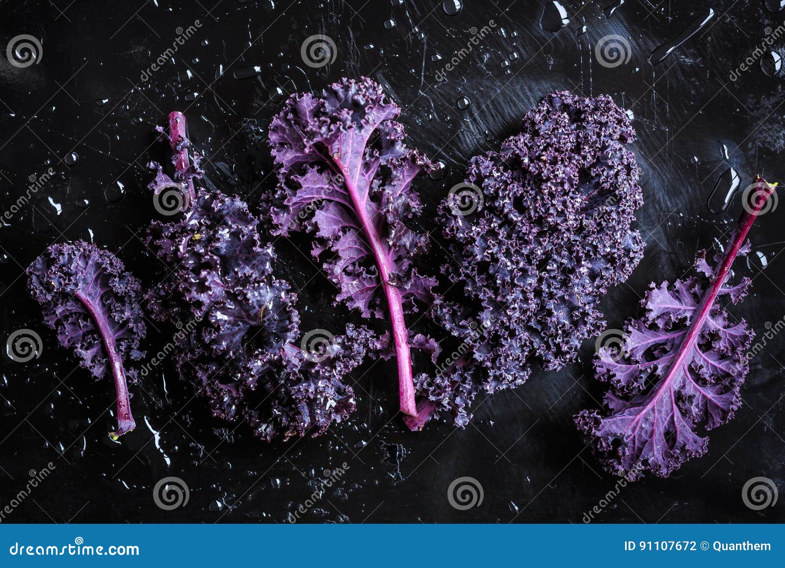 Red kale leaves stock photo. Image of vegetarian, leaves - 91107672