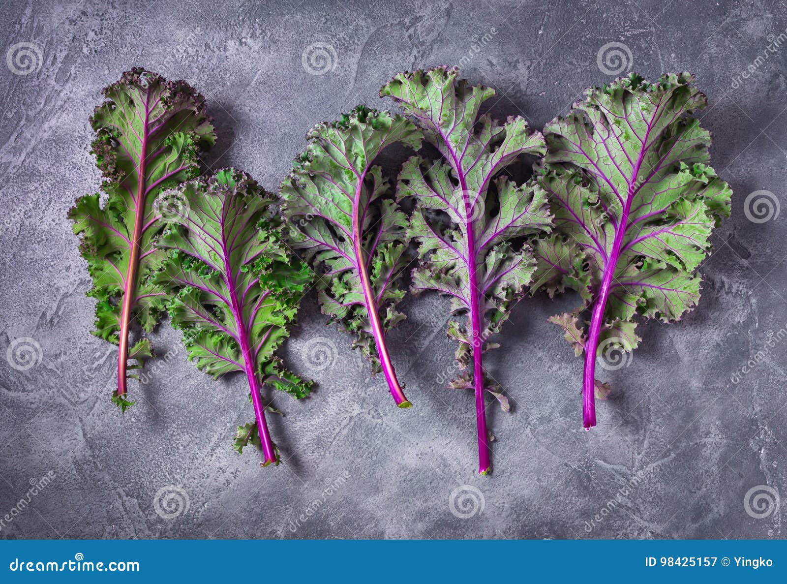 Red kale leaves on gray stock image. Image of antioxidant - 98425157