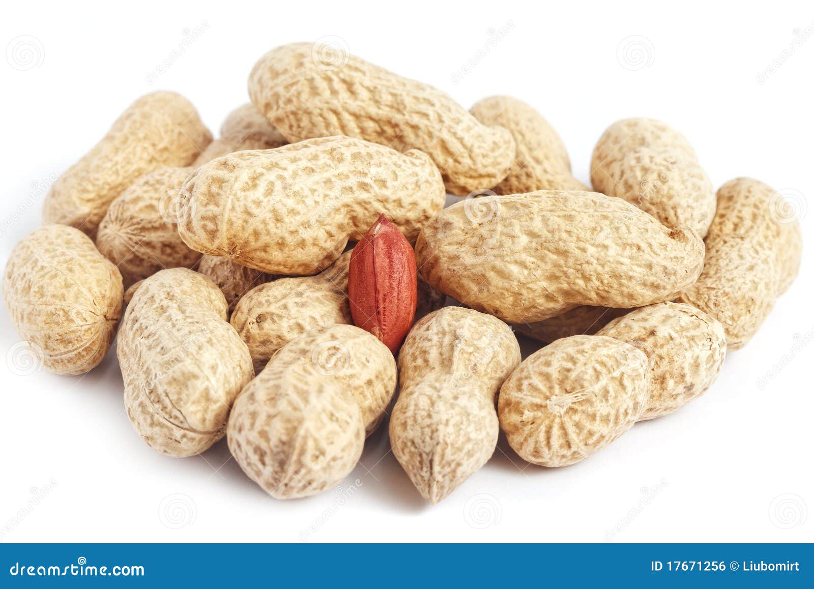 Red Kernel in Peanut Shells Stock Photo - Image of brown, protein: 17671256