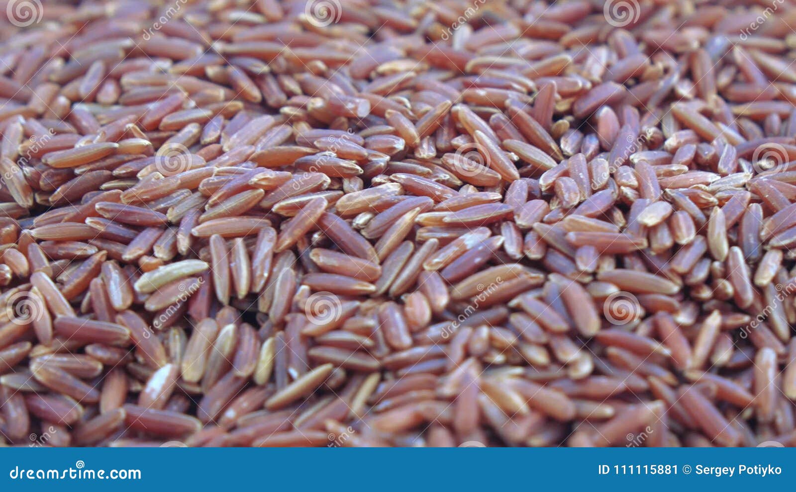 Red Kernel Rice in bulk stock video. Video of nutrition - 111115881