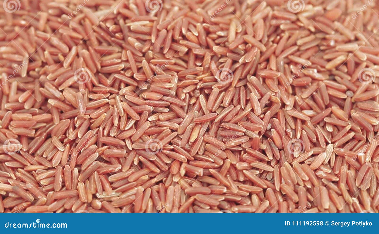 Red Kernel Rice in bulk stock footage. Video of heap - 111192598