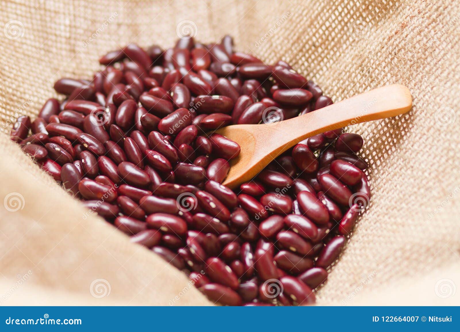 Red Kidney Bean Seed in Sack with Spoon. Stock Image - Image of farm ...