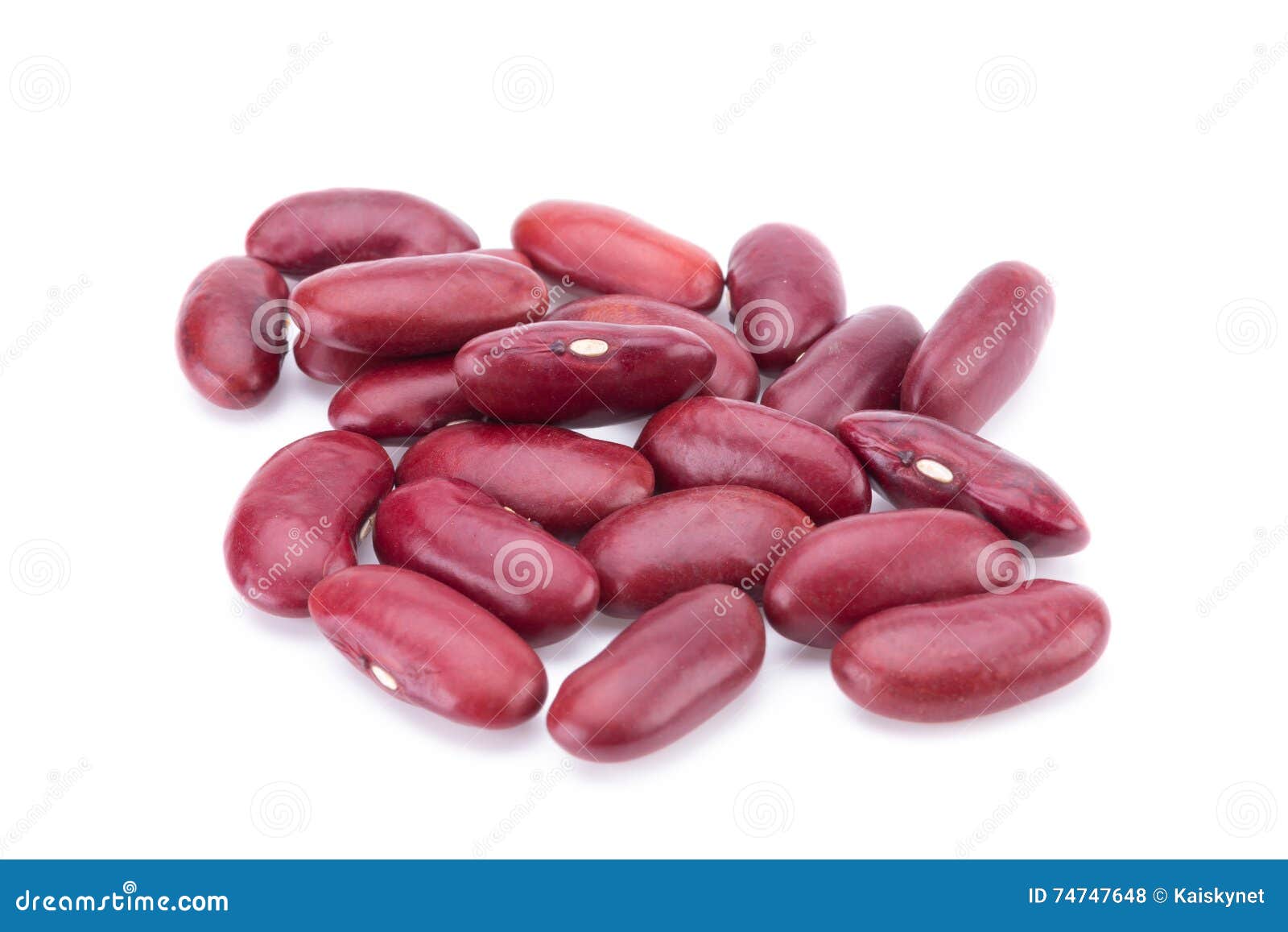 Red Kidney Bean on White Background Stock Photo - Image of brown ...