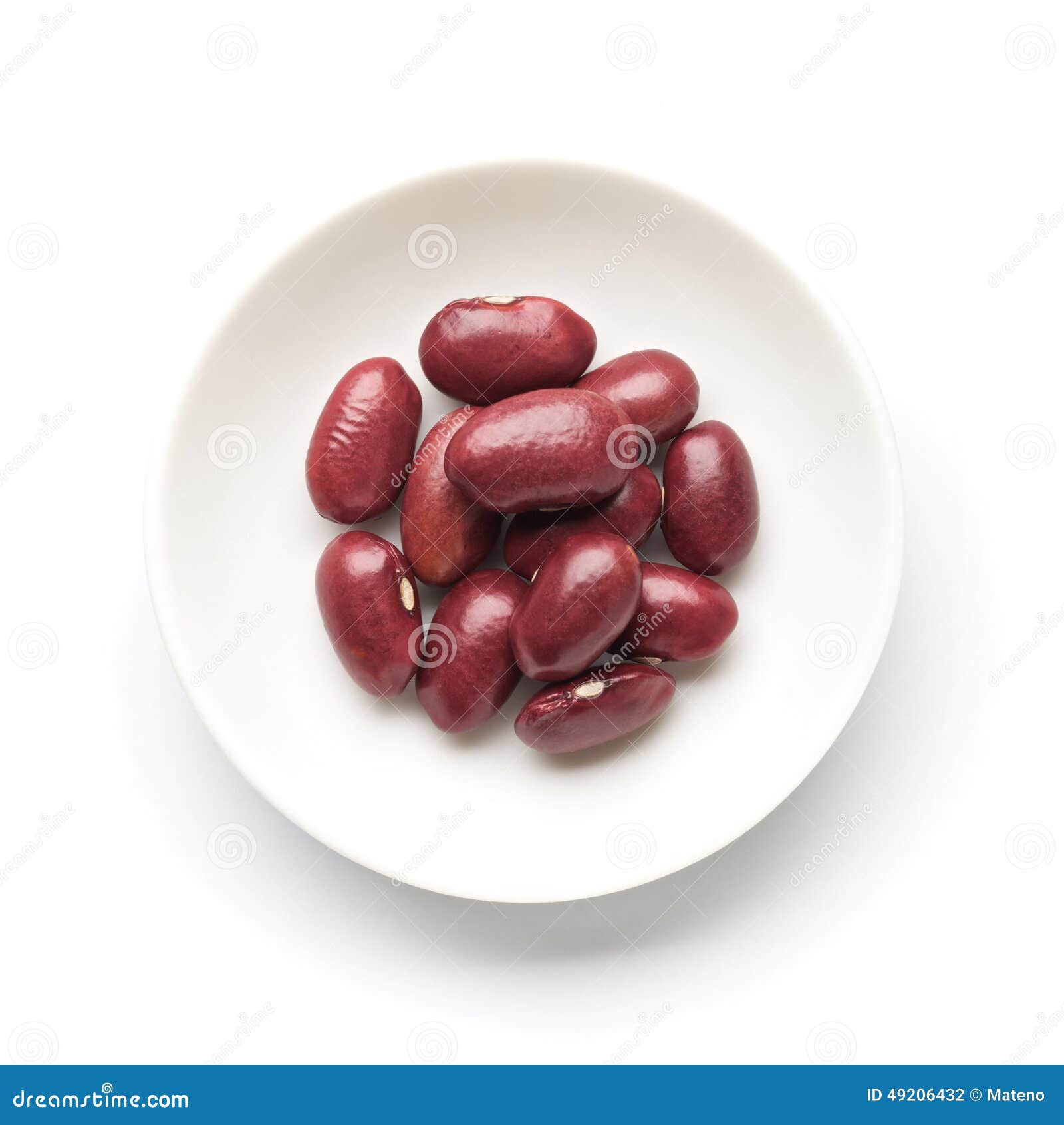 Kidney Bean Petiole Cross Section Stock Photography | CartoonDealer.com ...