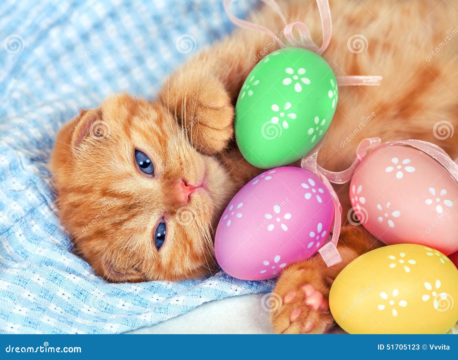 Red Kitten with Easter Colored Eggs Stock Image - Image of baby, coon ...