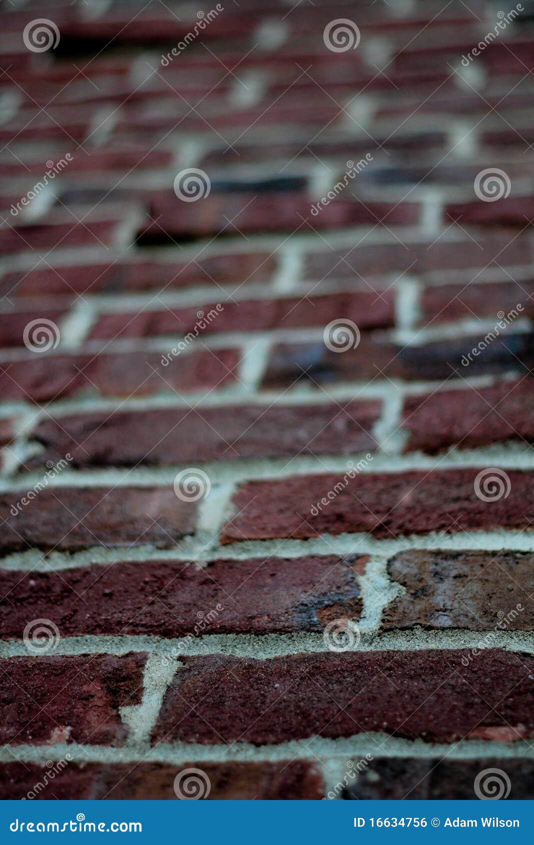 Red Klinker Brick - Close Up / Blur Stock Photo - Image of brick ...