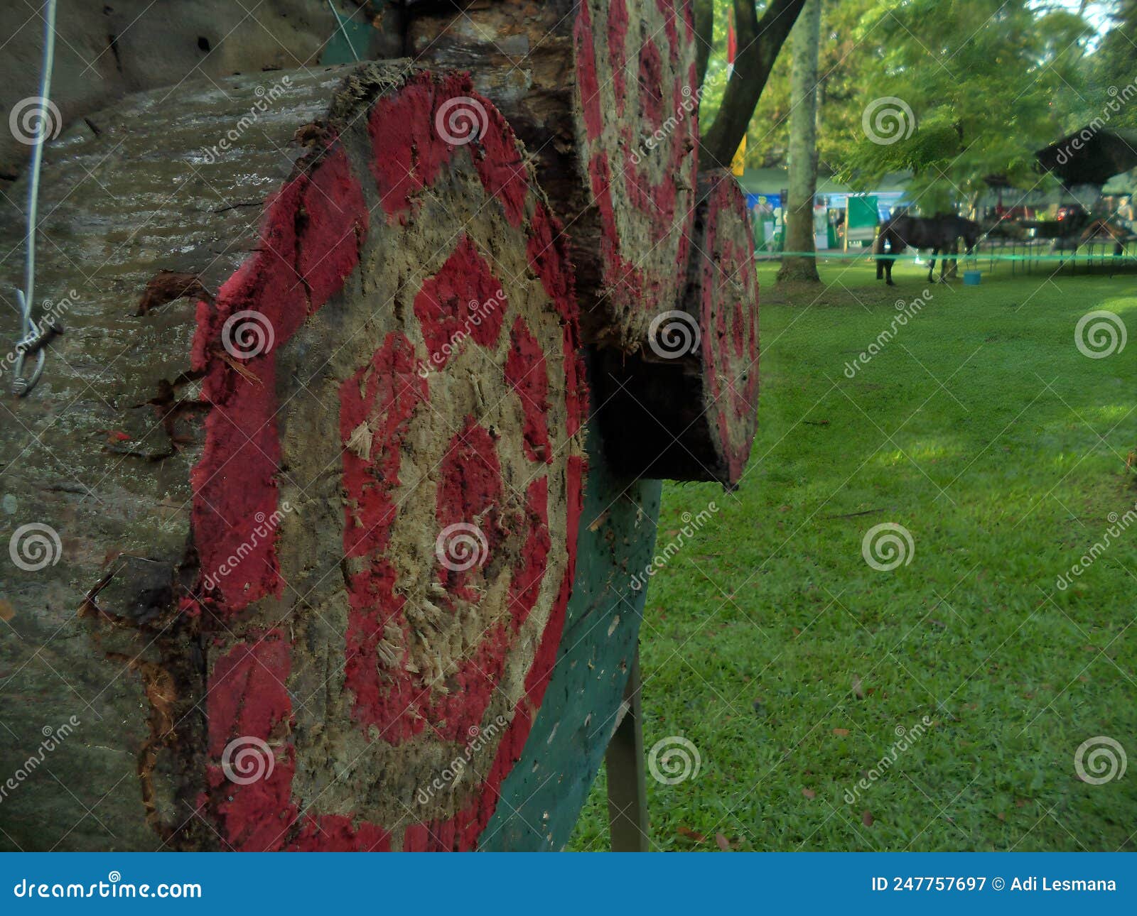 Axe Throwing Target, Hatchet Throwing Bullseye Royalty-Free Stock Image ...