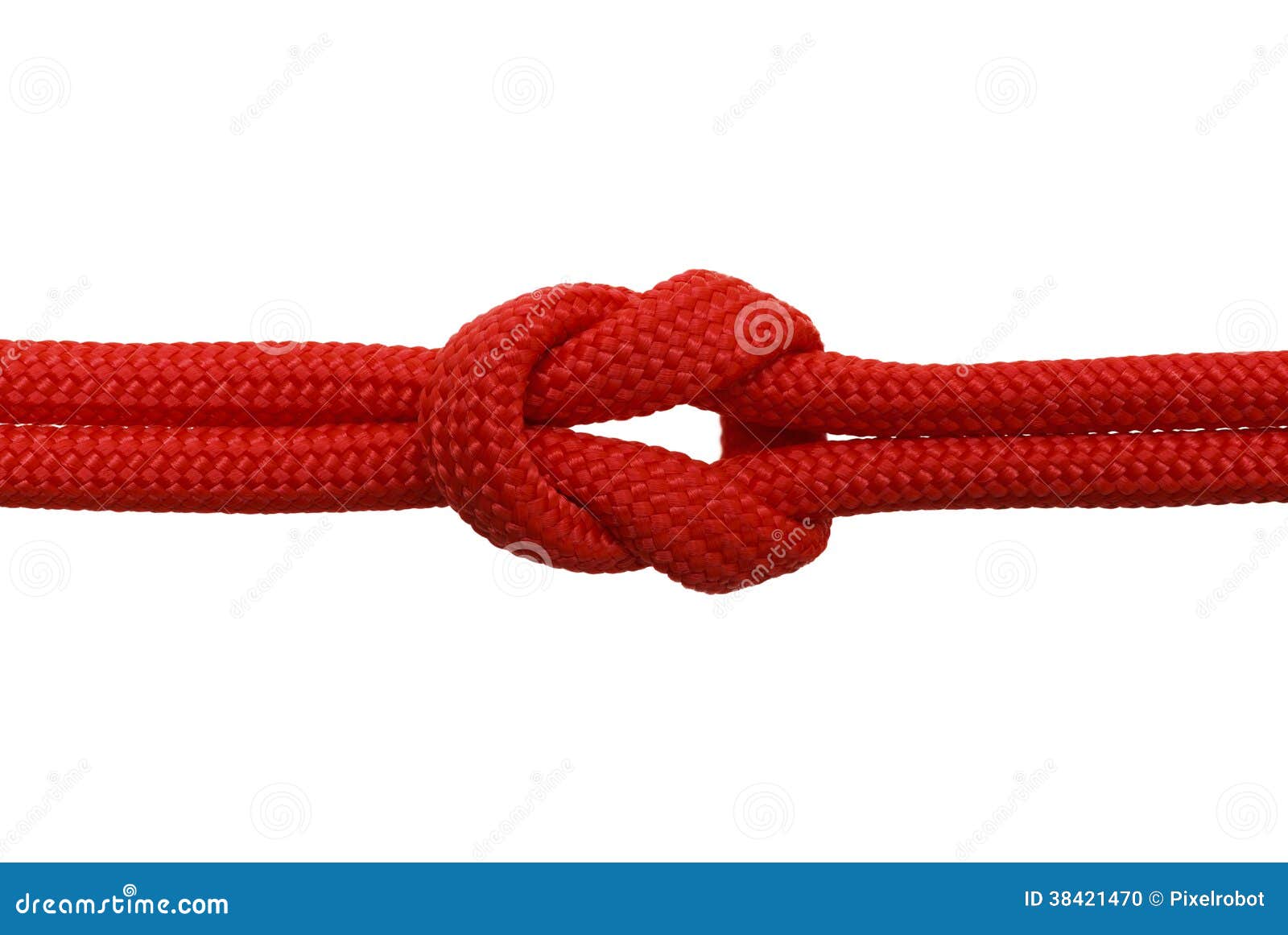 Red Knot stock photo. Image of government, connection - 38421470