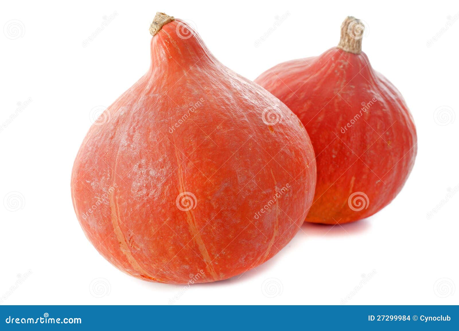 Red kuri squash stock photo. Image of pumpkin, vegetarian - 27299984