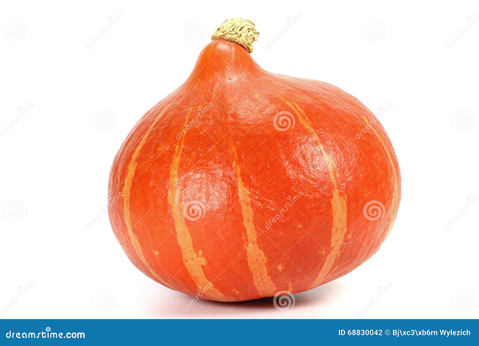 Red kuri squash stock photo. Image of farm, mellow, hokkaido - 68830042