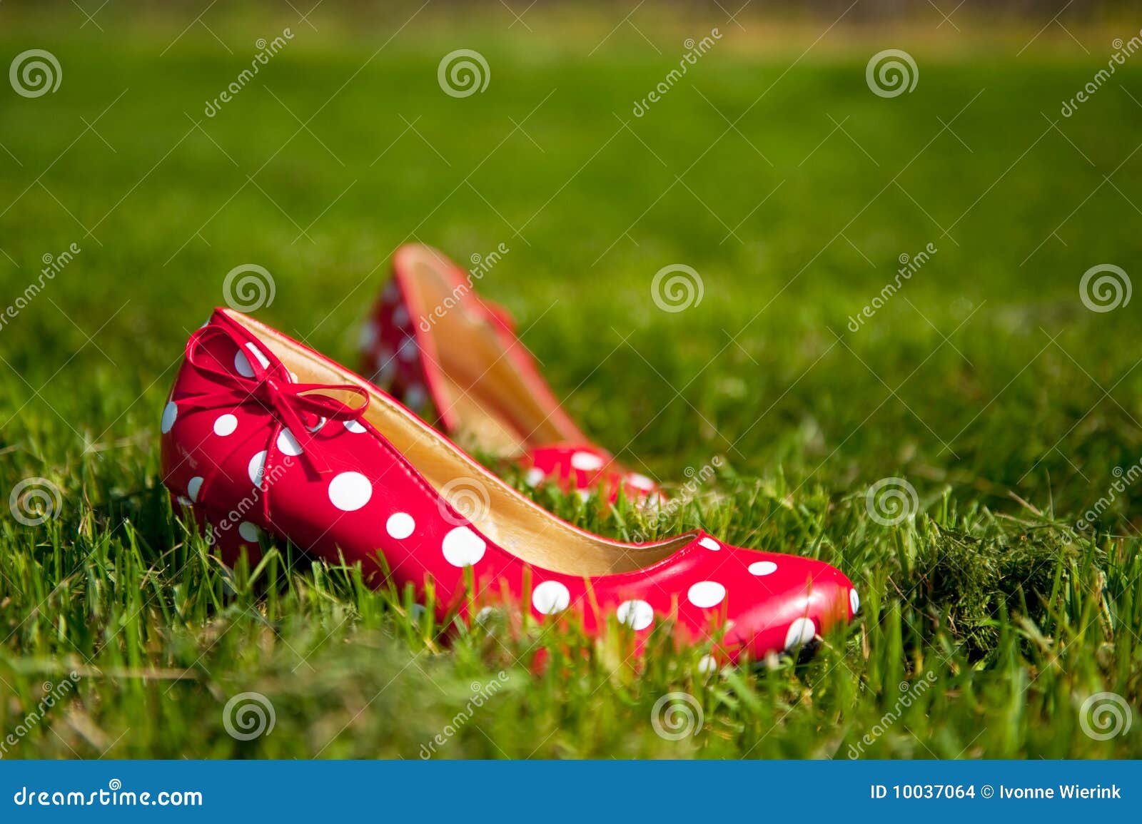 Red ladies shoes stock photo. Image of leather, stiletto - 10037064