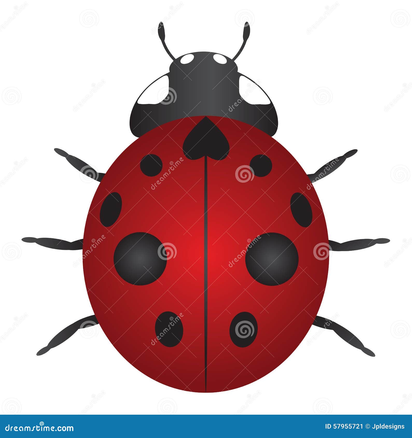 Red Ladybug Color Vector Illustration Stock Illustration - Illustration ...