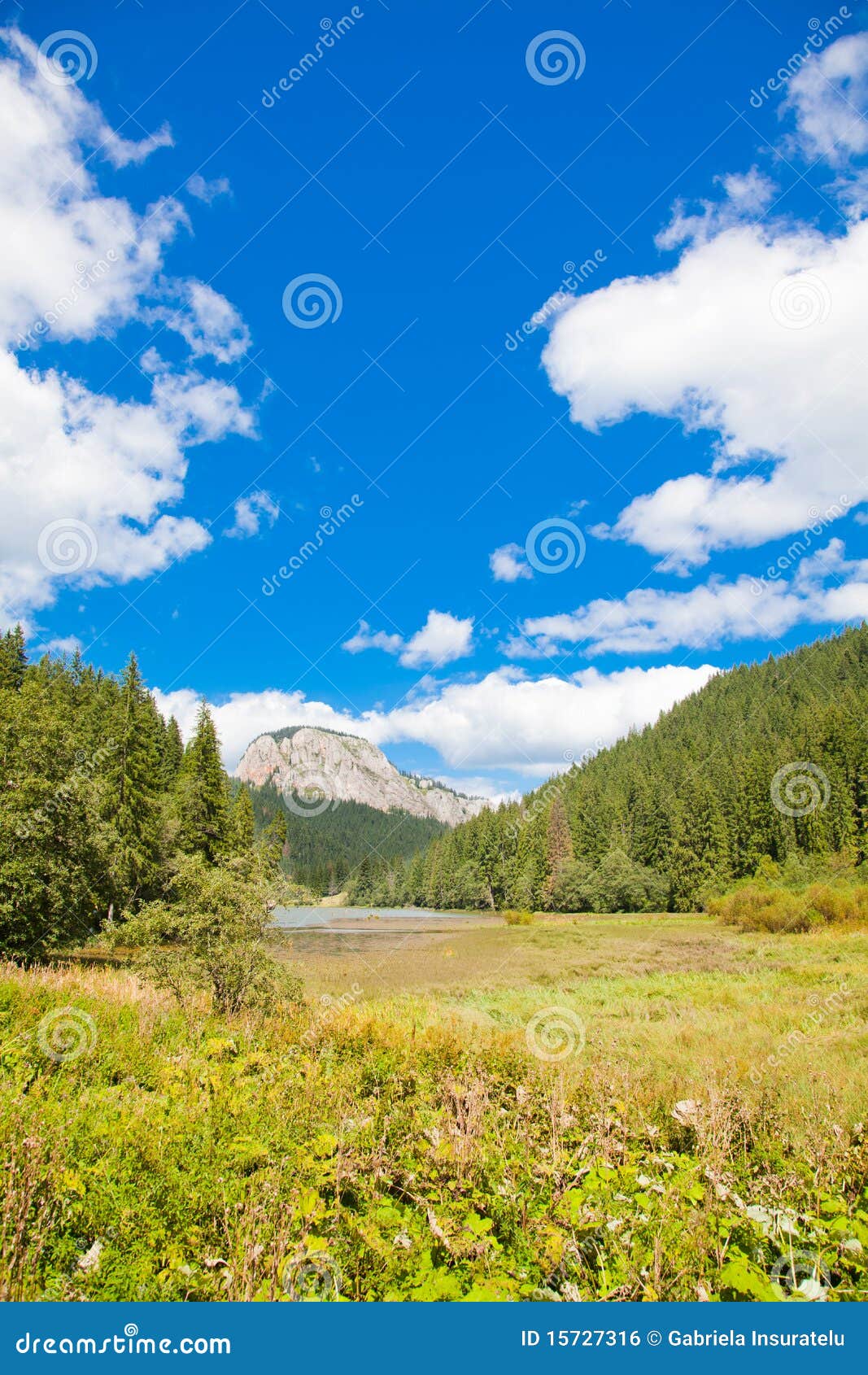 The Red Lake stock photo. Image of summer, nature, reservation - 15727316