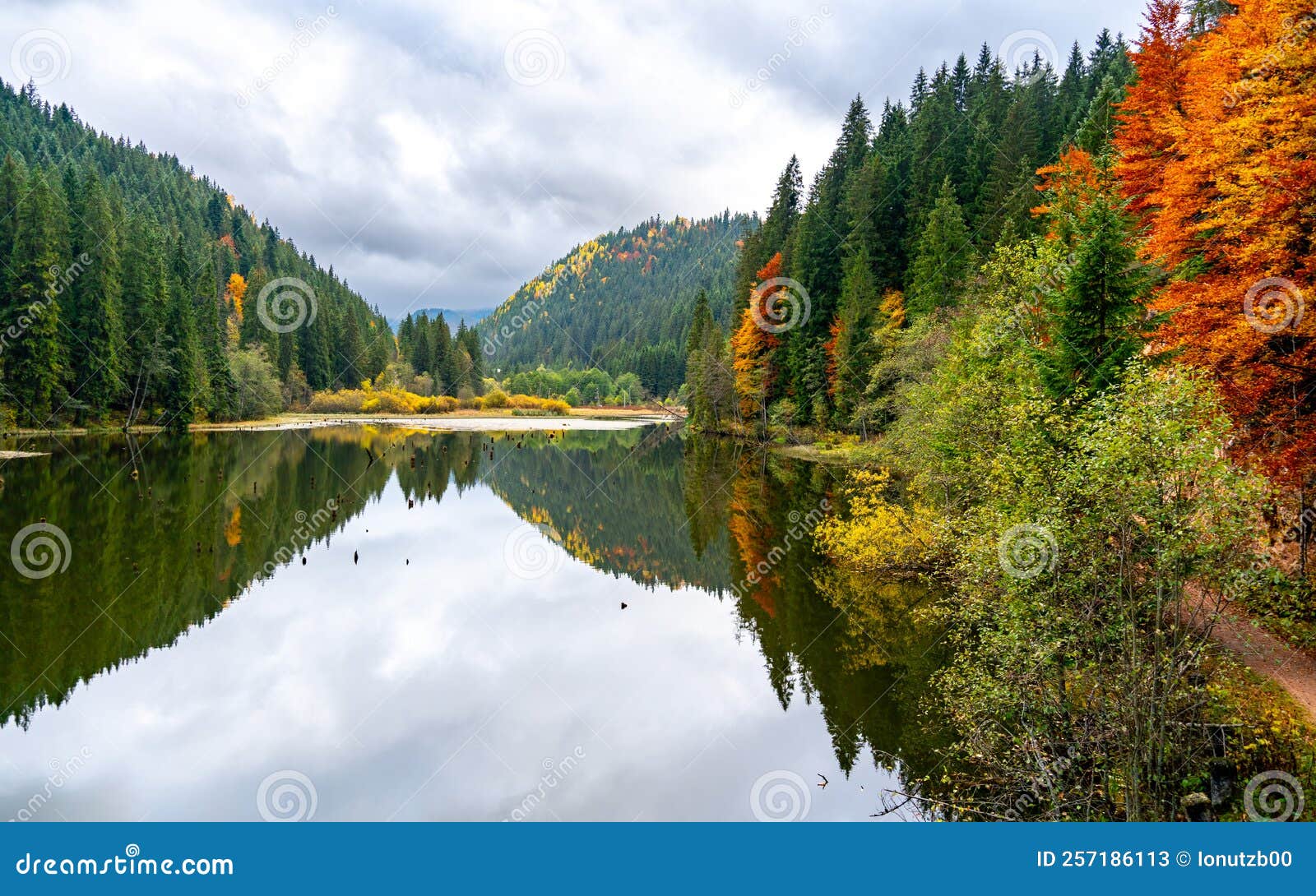 Red Lake at Fall, Transylvania, Romania Stock Image - Image of forest ...