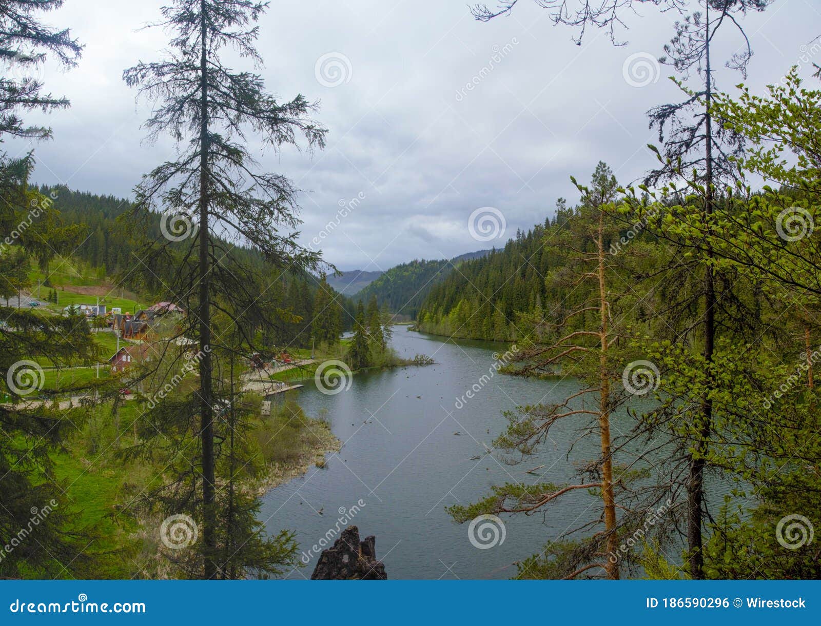 Red Lake in Romania stock photo. Image of conifer, pine - 186590296