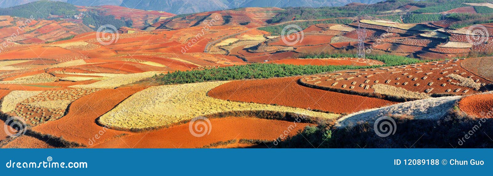 Red land stock photo. Image of flower, bush, kunming - 12089188