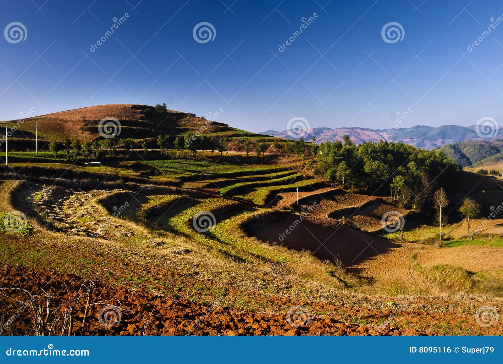 Red Land Picture. Image: 8095116