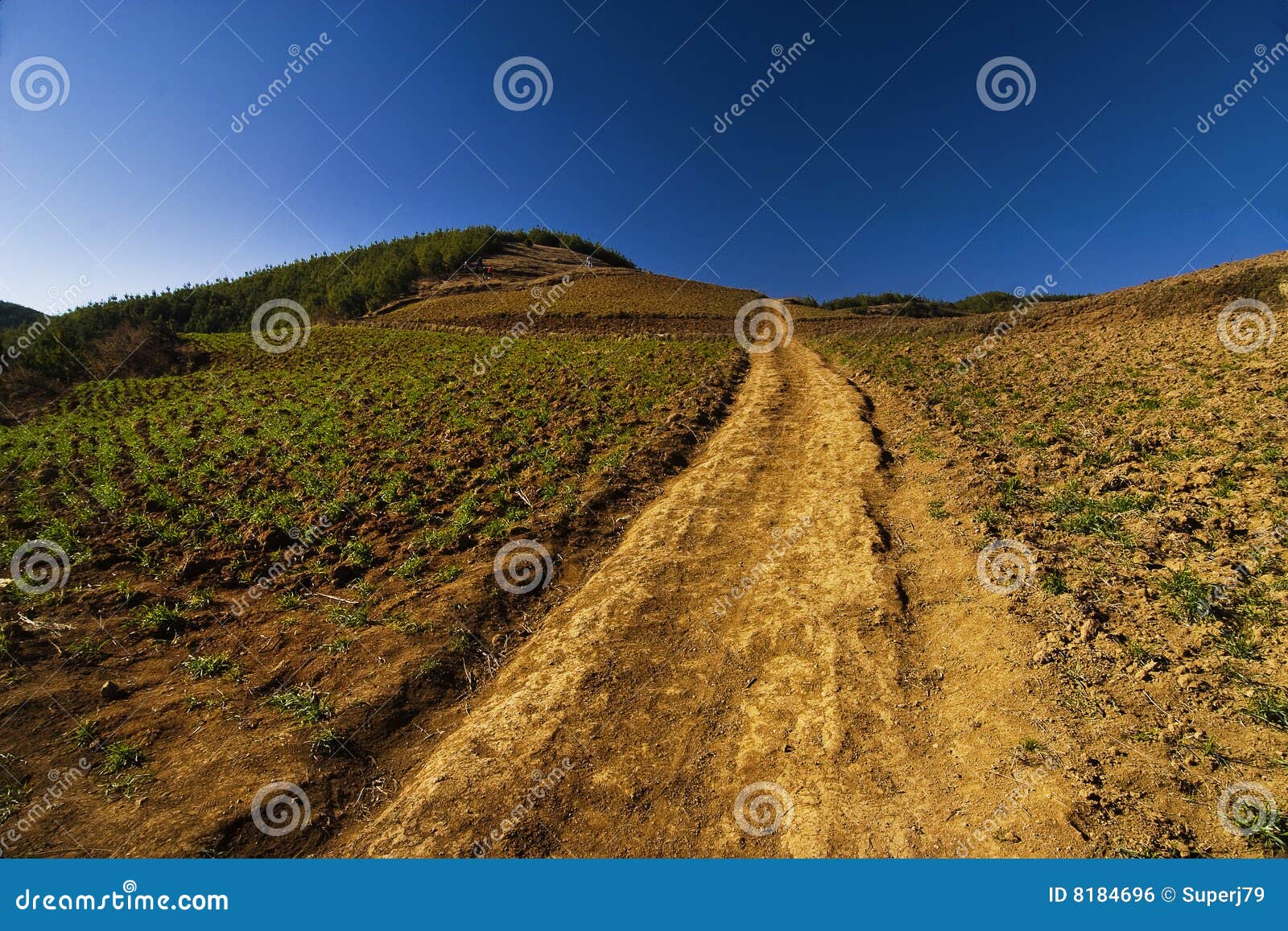 Red land stock photo. Image of wind, farmland, crop, agriculture - 8184696