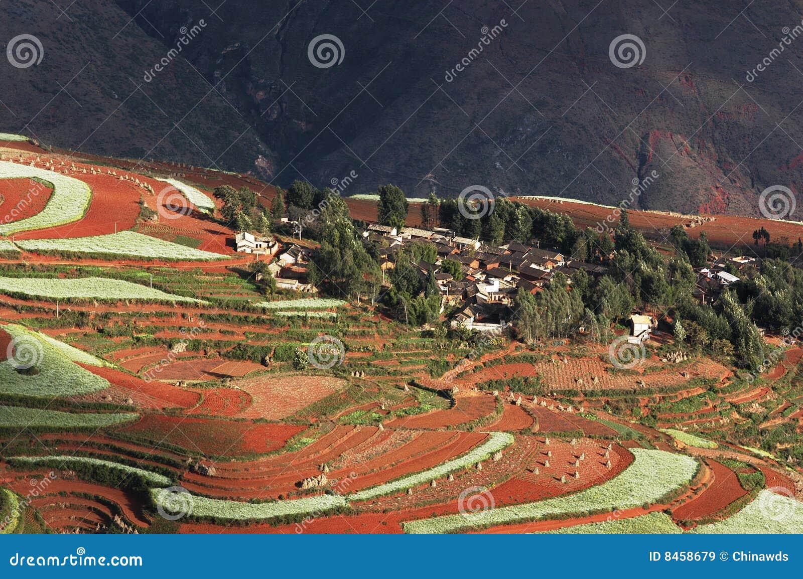 Red land stock image. Image of blue, land, crops, asia - 8458679