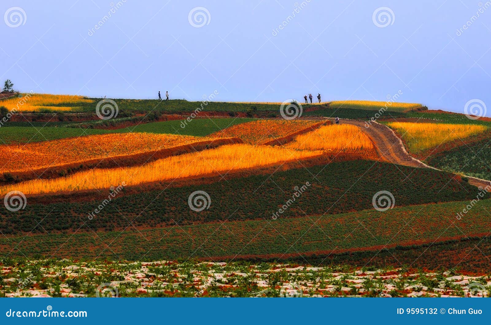 Red land stock photo. Image of landscape, autumn, harvest - 9595132
