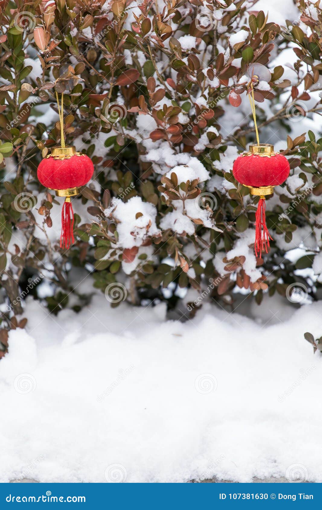 Red lanterns in the snow stock photo. Image of lanterns - 107381630