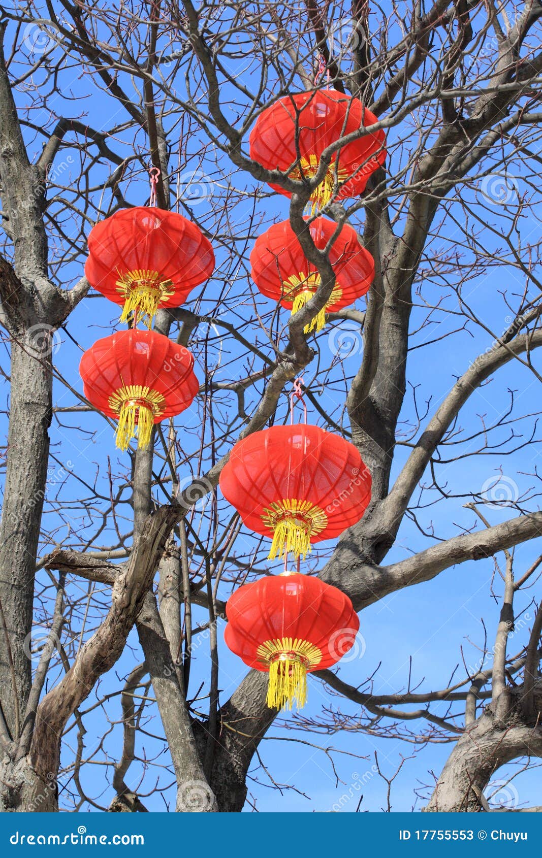 Red lanterns on the tree stock image. Image of hang, culture - 17755553